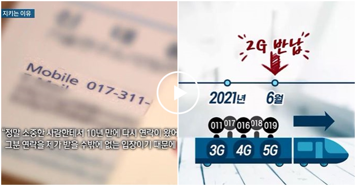 5G 시대… '01X' 사용자들, '소멸 되지 않을 권리' 주장 | 디스패치 | 뉴스는 팩트다!