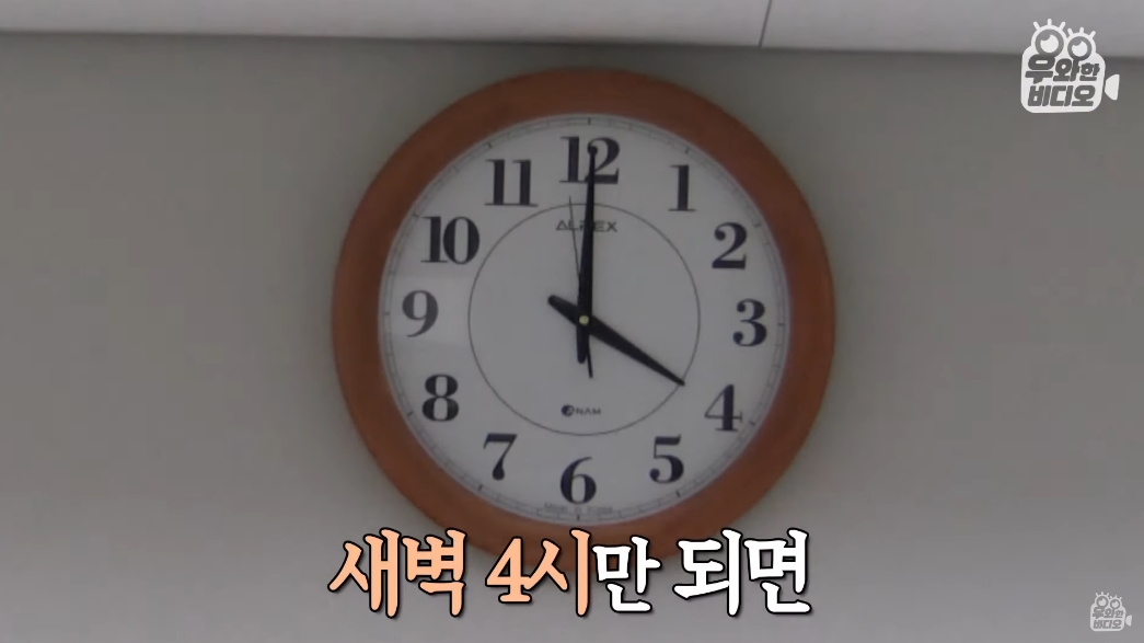 새벽 4시마다 공포의 굉음 내는 범인 찾아 나서자 생긴 일 Snsfeed 제휴콘텐츠 제공 실시간 핫이슈