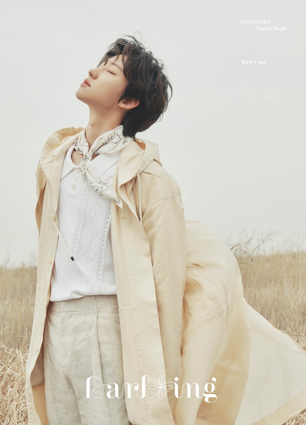 Seventeen Releases Second Version of Teaser Pictures for 'Darl+ing ...