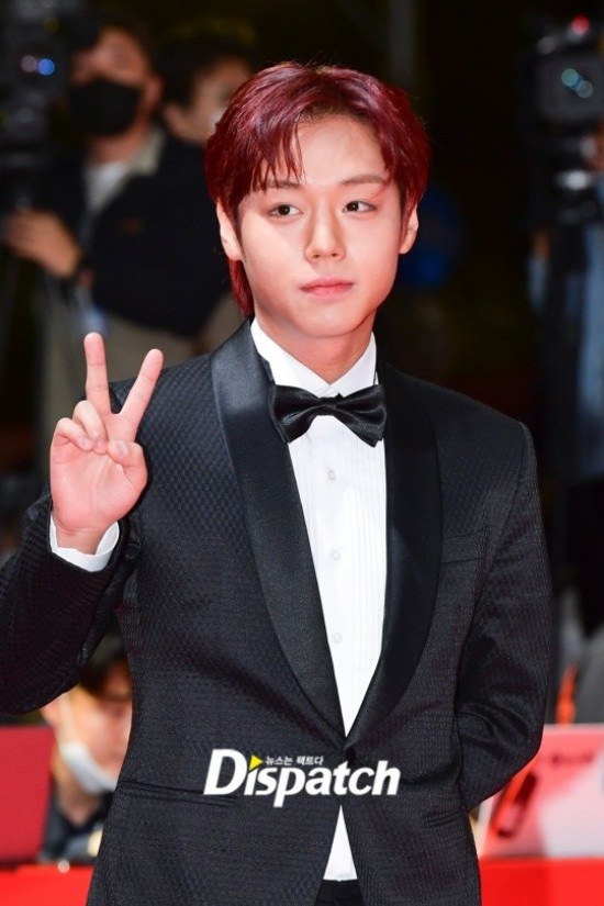 [27th BIFF] "비로소, 완전해졌다"…BIFF, 3년 만의 정상화 | 디스패치 | 뉴스는 팩트다!