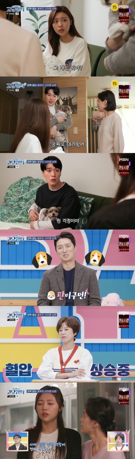 개판이구먼 인교진도 한숨 쉰 아내·아이 외면하는 고딩아빠 고딩엄빠2 Snsfeed 제휴콘텐츠 제공 실시간 핫이슈
