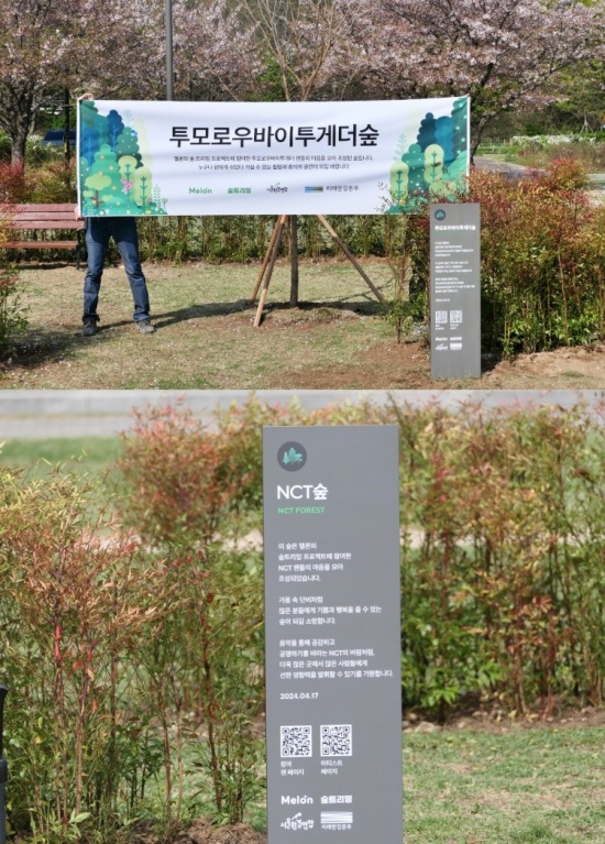 Forests Created and Named After TOMORROW X TOGETHER And NCT | DIPE.CO.KR