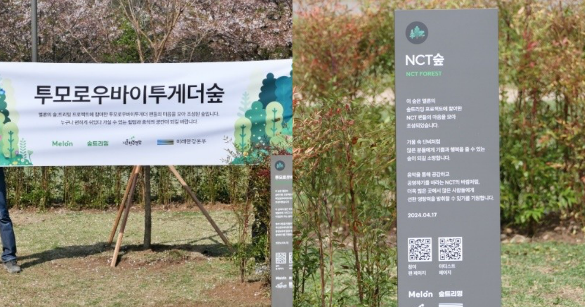 Forests Created and Named After TOMORROW X TOGETHER And NCT | DIPE.CO.KR