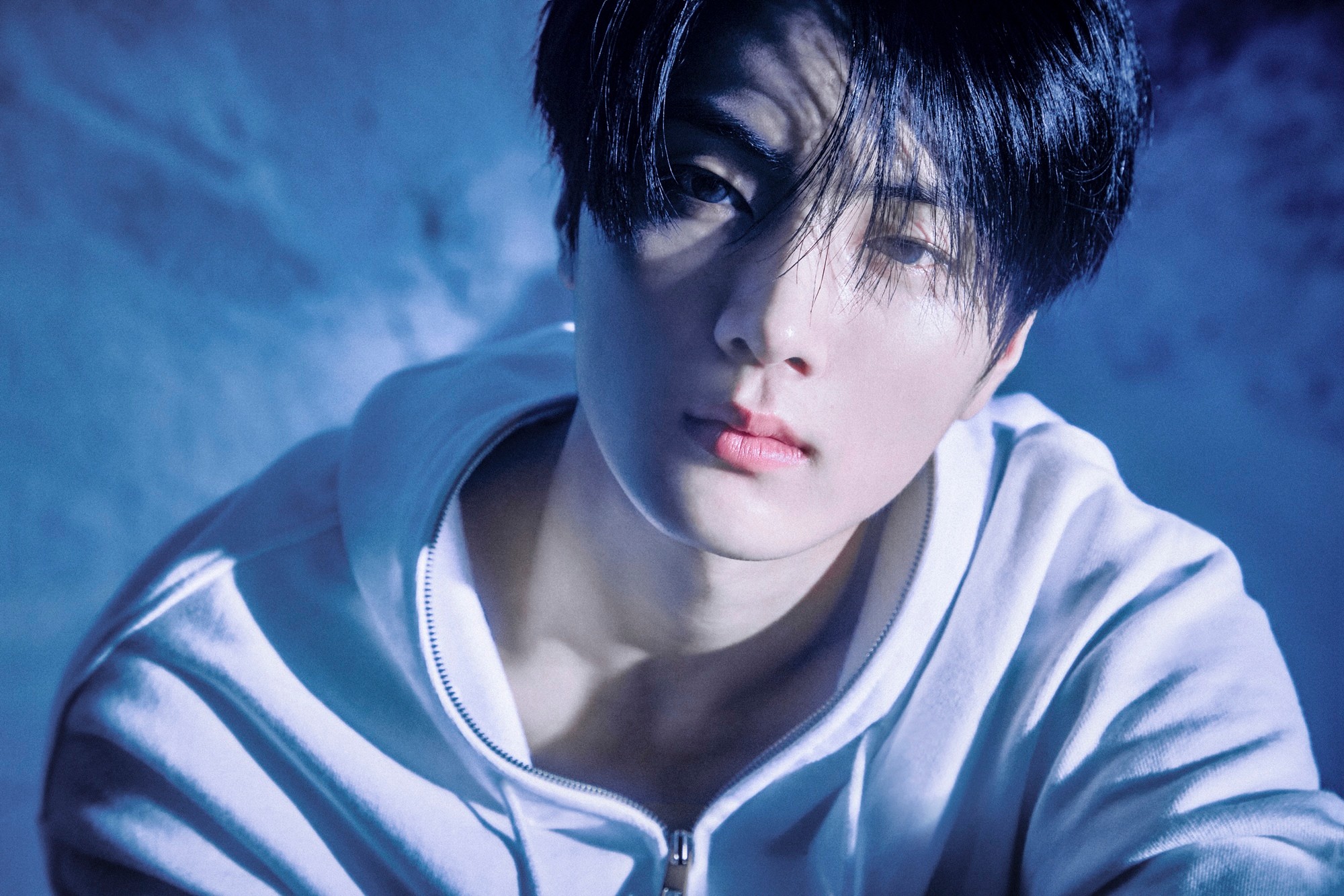 "너를 다시 만나게 된 밤"…엔하이픈, 낭만적인 콘셉트 포토 | 디스패치 | 뉴스는 팩트다!