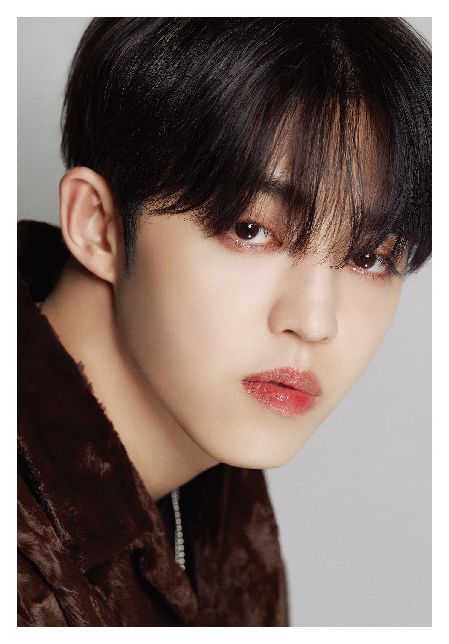 [DFESTA] SEVENTEEN | DICON | DIPE.CO.KR