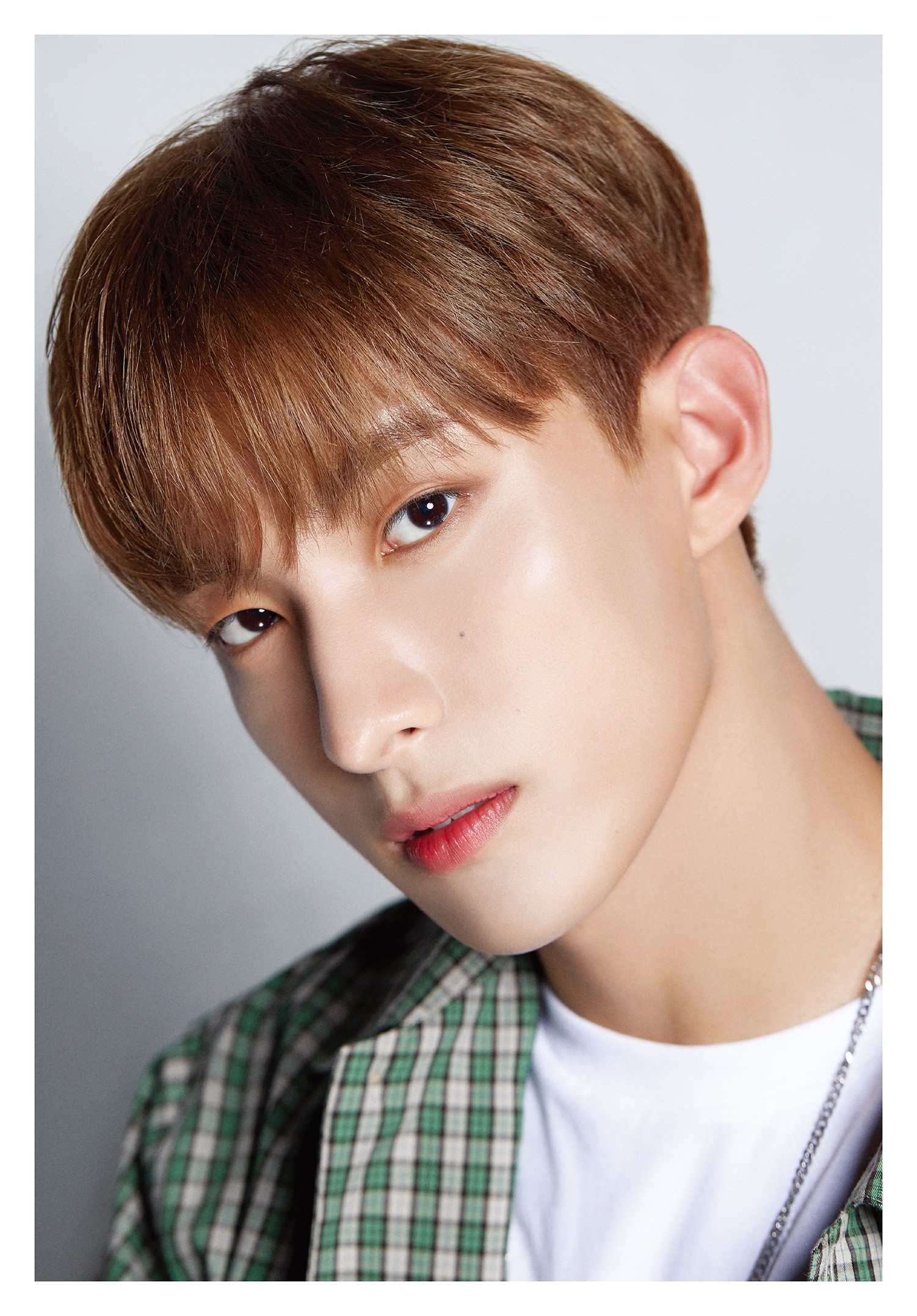 [DFESTA] SEVENTEEN | DICON | DIPE.CO.KR